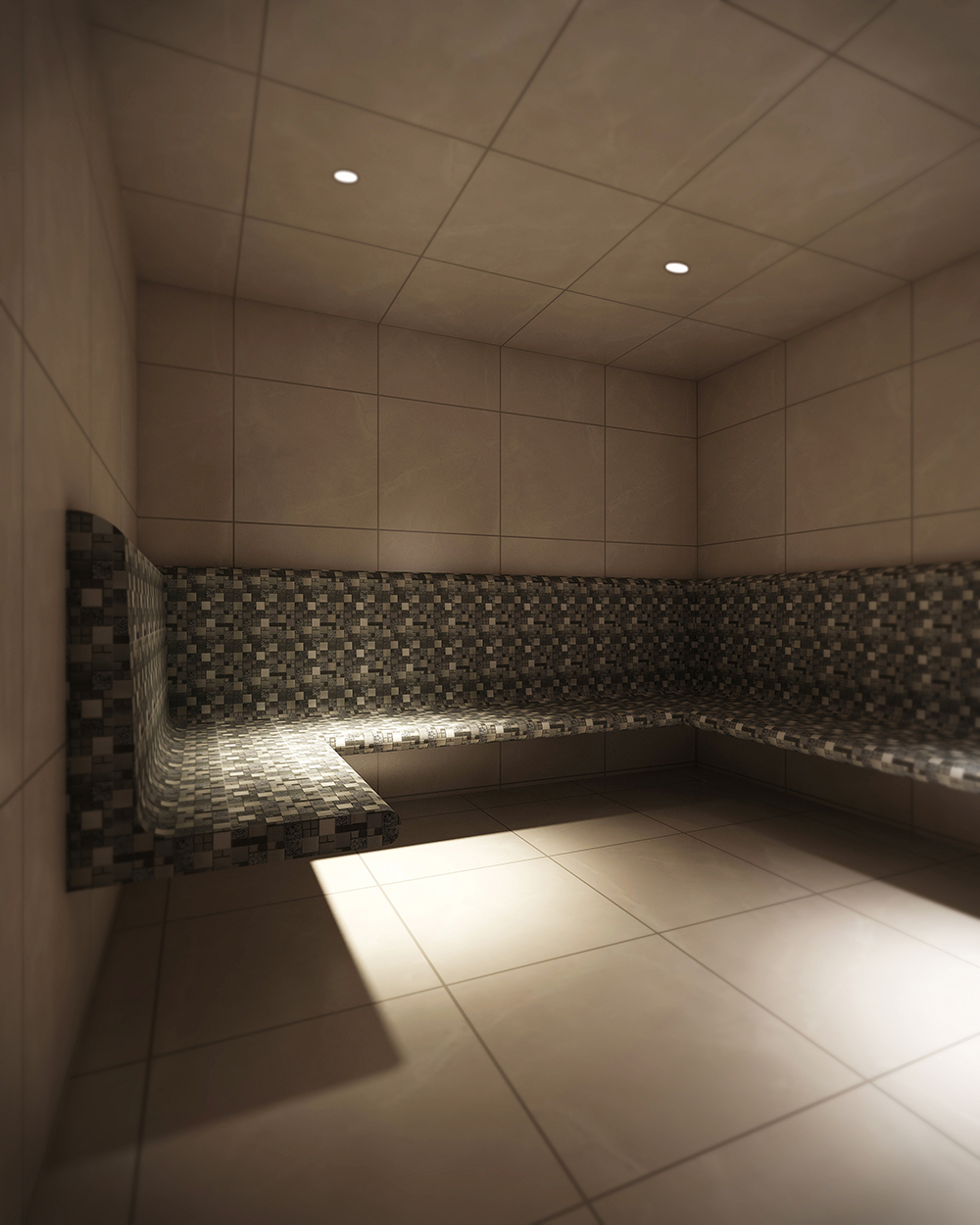 Steam & Sauna – Fitness Junction Gym & Spa